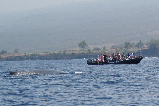 Zodiac Raft Whale Watching Adventure - Pricing and Value