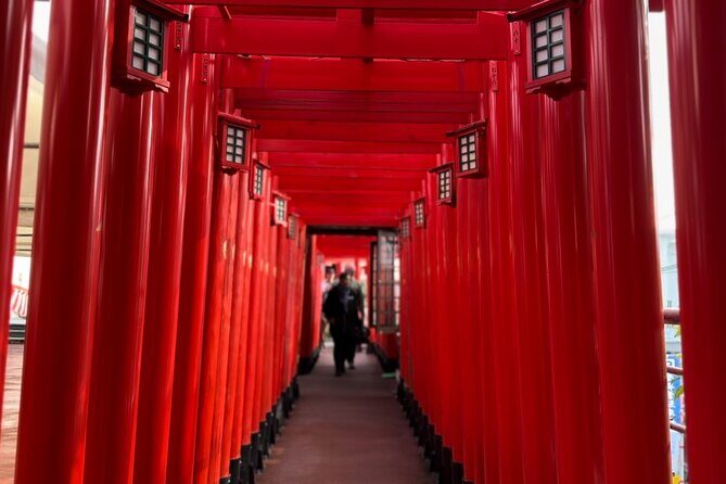 Zodiac Shrines and Naha Backstreets Cycling Tour - Introduction