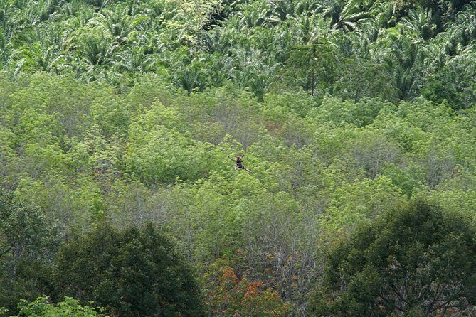 Zone A + B PACKAGE Zipline Adventure Experience - Final Thoughts