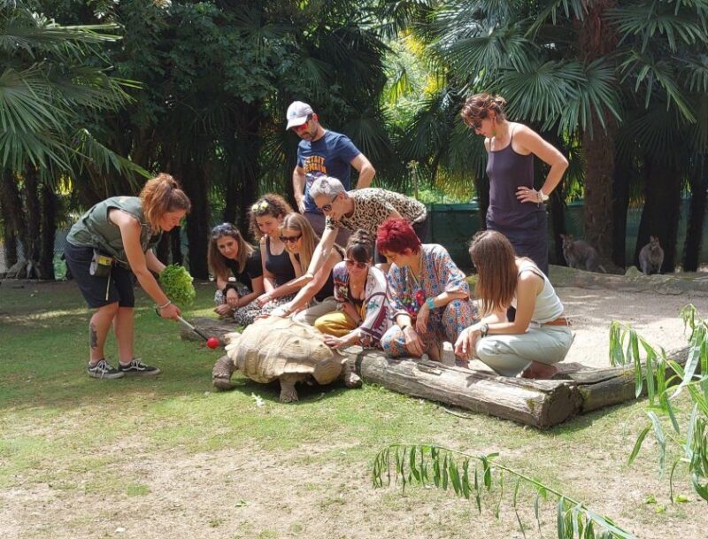 Zoo al Maglio: 1-Day Ticket for the Jungle of Ticino - Exploring Zoo al Maglio: The Jungle of Ticino