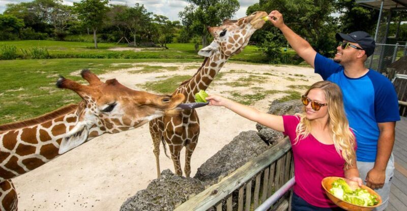 Zoo Miami: General Admission Ticket - Introduction
