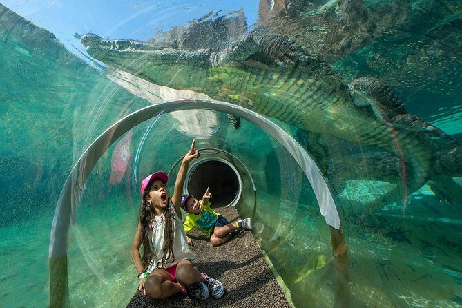 Zoo Miami Ticket with Optional Upgrade - An In-depth Look at Zoo Miami