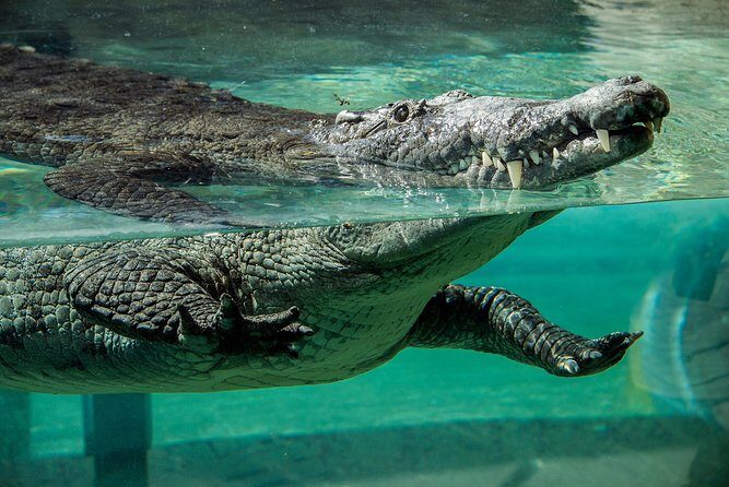 Zoo Miami Ticket with Optional Upgrade - Final Thoughts