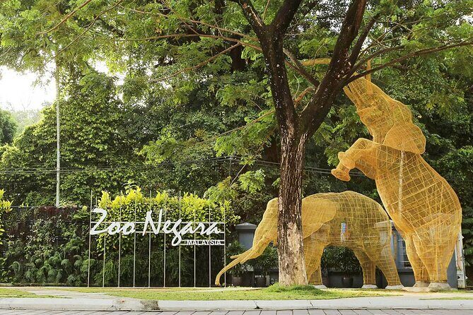 Zoo Negara and Panda Conservation Centre Tickets - Key Points