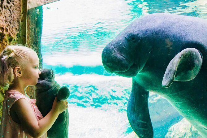 ZooTampa at Lowry Park Admission Ticket - A Closer Look at the Experience