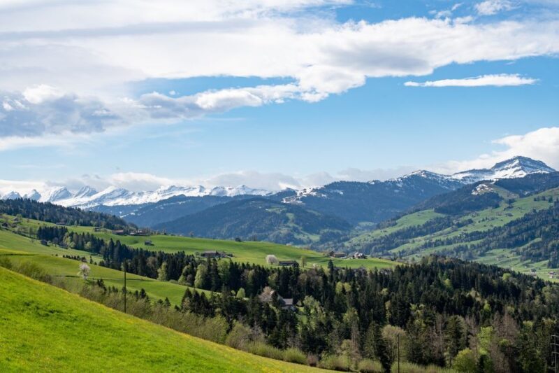 Zürich: Appenzell Day-Trip with Cheese & Chocolate Tastings - The Town & Local Delights
