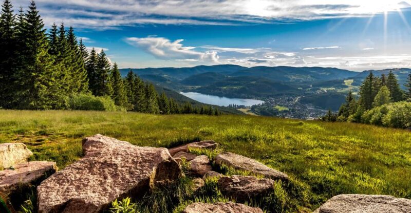 Zurich: Black Forest, Titisee, and Rhine Falls Bus Day Trip - Key Points