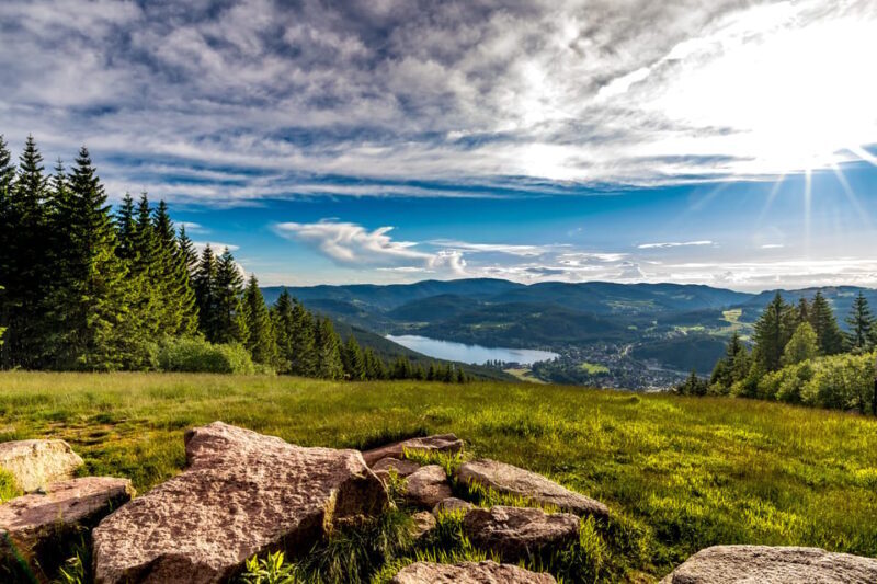Zurich: Black Forest, Titisee, and Rhine Falls Bus Day Trip - The Itinerary: What to Expect on This Scenic Day Trip