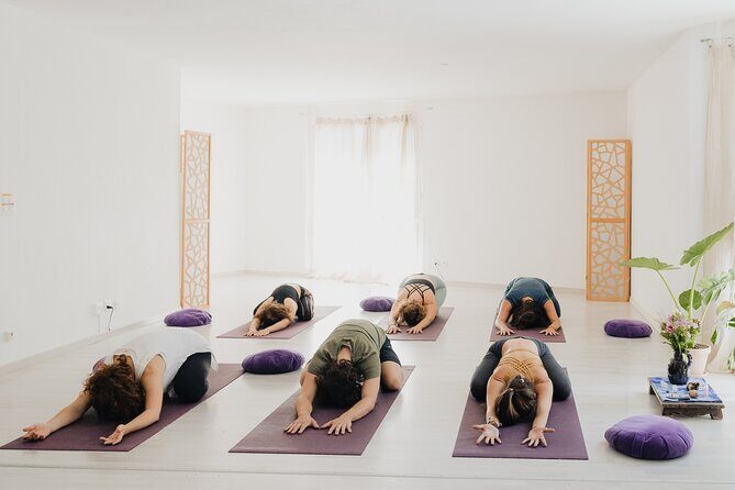 Zurich Fitness Pass - What to Expect at the Gyms and Classes