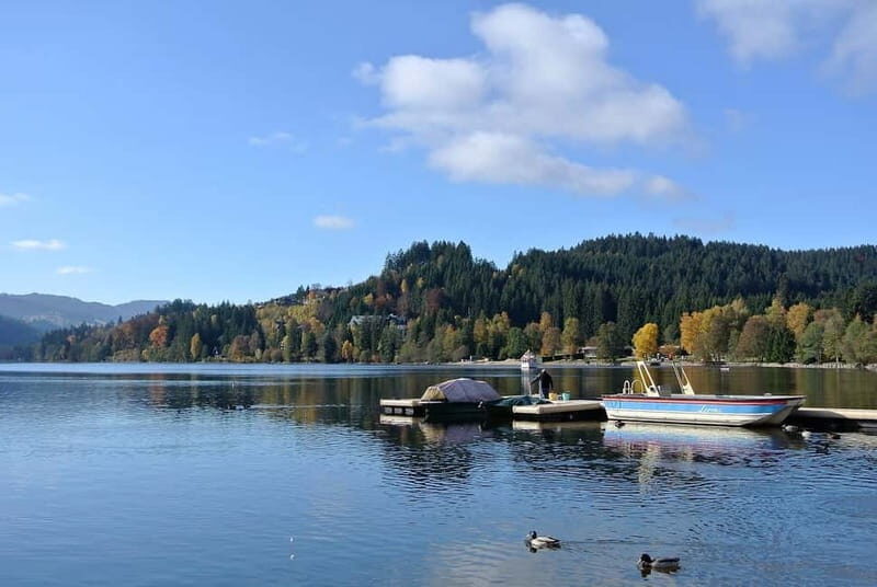Zürich/Lucerne: Rhine Falls, Titisee & Black Forest Day Trip - The Itinerary in Detail: What You Can Expect