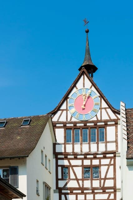 Zürich/Lucerne: Rhine Falls, Titisee & Black Forest Day Trip - The Value and Practicalities