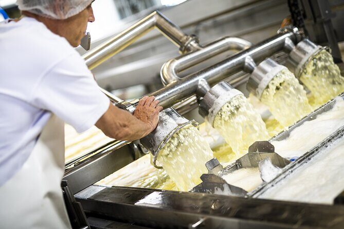 Zurich Open Top Bus, Chocolate and Cheese Factory Tour Appenzell - Who Will Love This Tour?