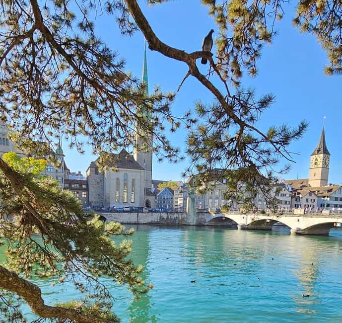 Zürich: Private Costumized Tour with Local Expert Tourguide - Who Will Love This Tour?