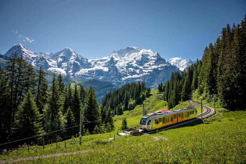 Zurich: Private Jungfraujoch & Thrilling Velogemel Adventure - Key Points