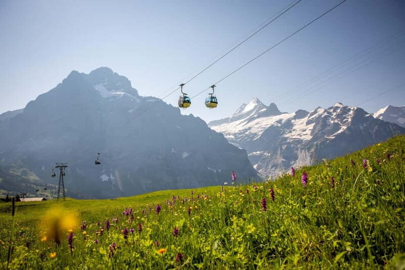Zurich: Private Jungfraujoch & Thrilling Velogemel Adventure - The Sum Up