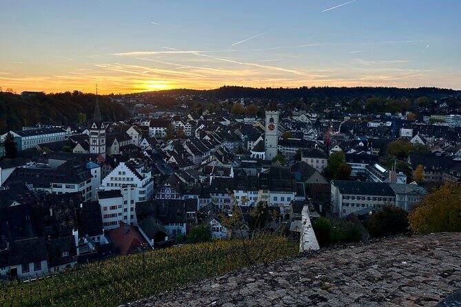 Zurich Private Tour: Stein Am Rhein Schaffhausen and Rhine Cruise - Who Is This Tour Best For?