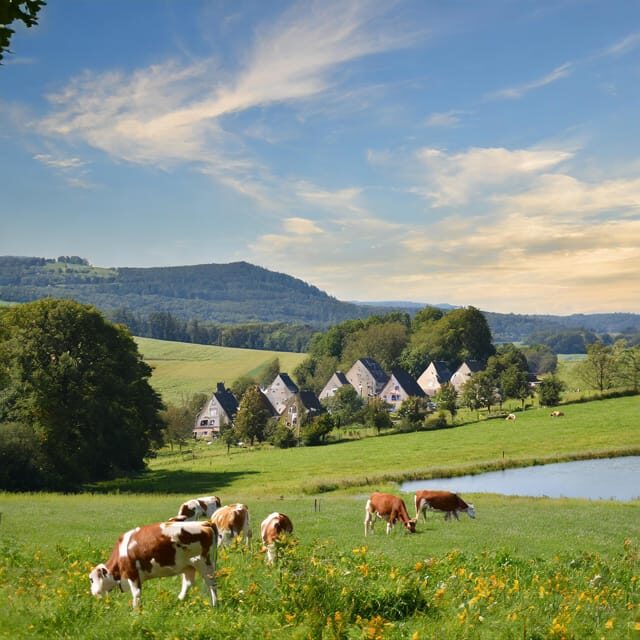 Zurich Private tour to Liechtenstein and Heidiland - The Value and Practicalities