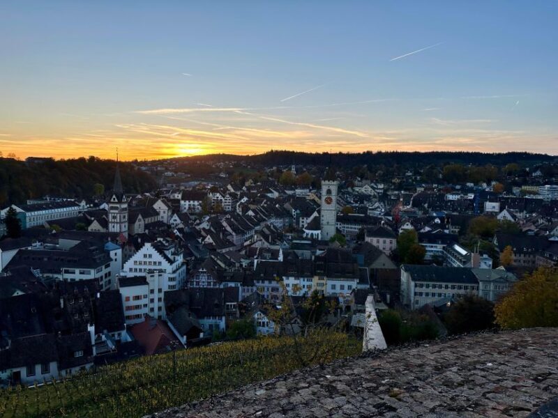 Zurich: Stein Am Rhein, Schaffhausen, & Rhine River Cruise - The Itinerary in Detail