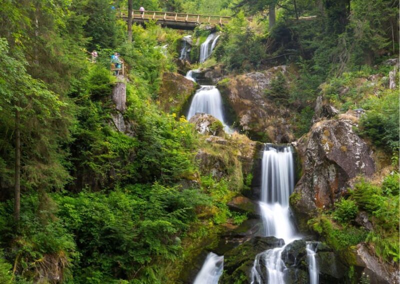 Zürich:Private Car Tour- Rhine Falls, Titisee & Black Forest - Key Points