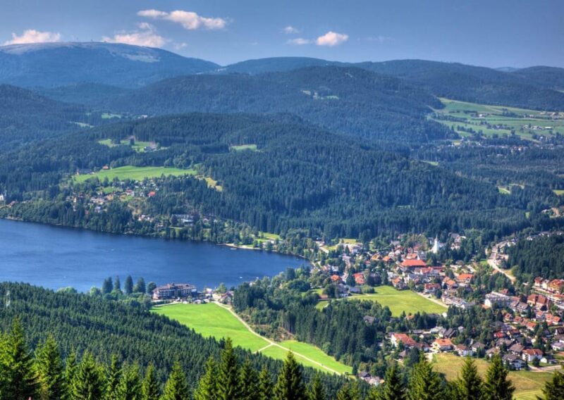 Zürich:Private Car Tour- Rhine Falls, Titisee & Black Forest - The Sum Up